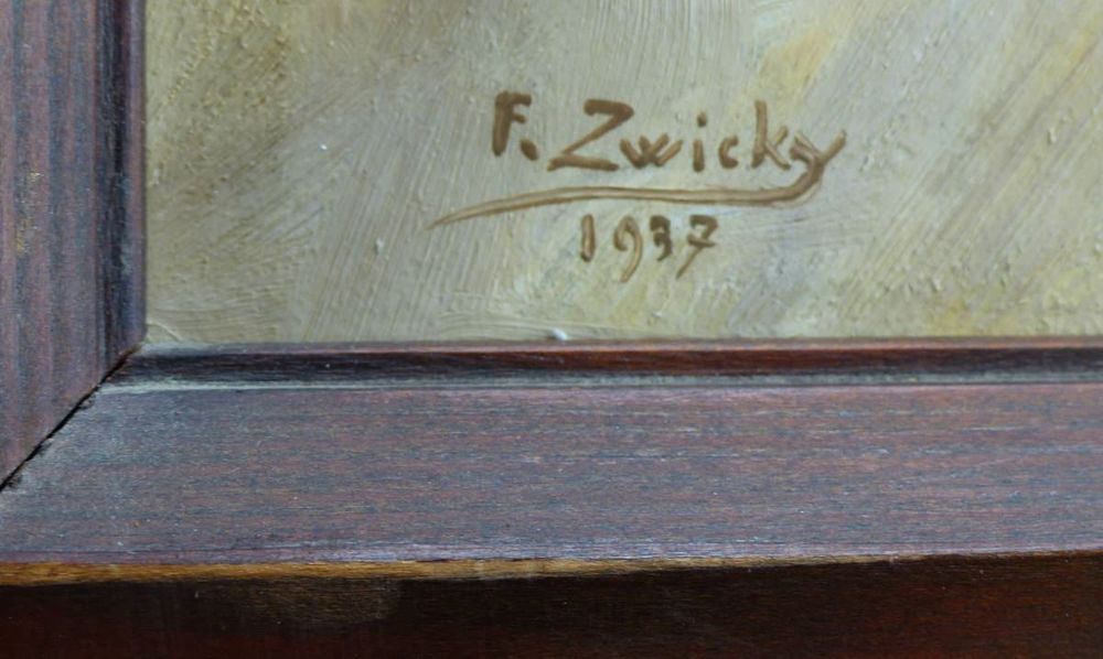 Fritz Zwicky - Swiss Art Selection (Gebraucht) in Sursee für CHF 915 ...