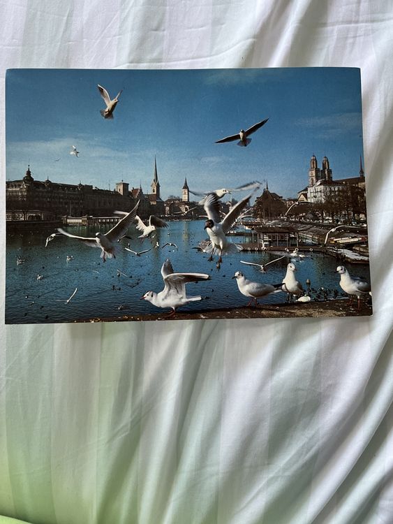 Postkarte zürich (Gebraucht) in Benken SG für CHF 1.5 – mit Lieferung auf Ricardo kaufen