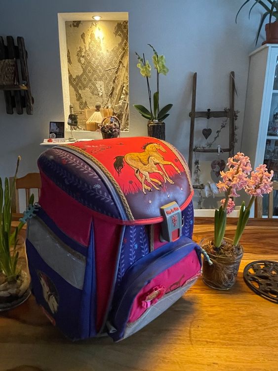 Schulsack Schulranzen / Schulrucksack Pferd (Gebraucht) in Heimenhausen ...