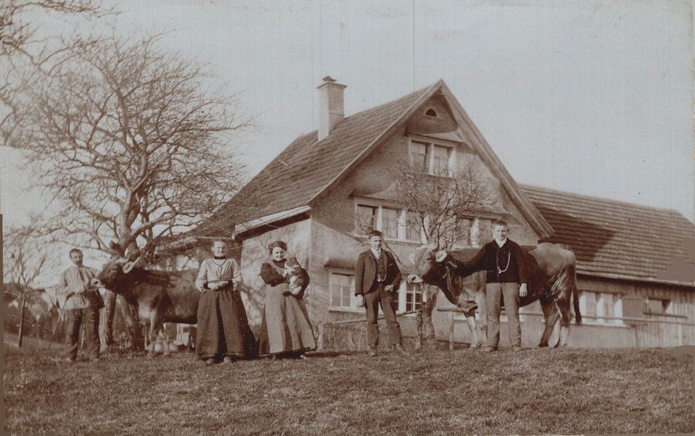 Appenzeller Bauernhaus mit Besitzern und Kühen (Gebraucht) in Bronschhofen für CHF 55 – mit ...