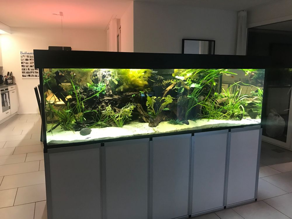 1200l Aquarium | Kaufen auf Ricardo