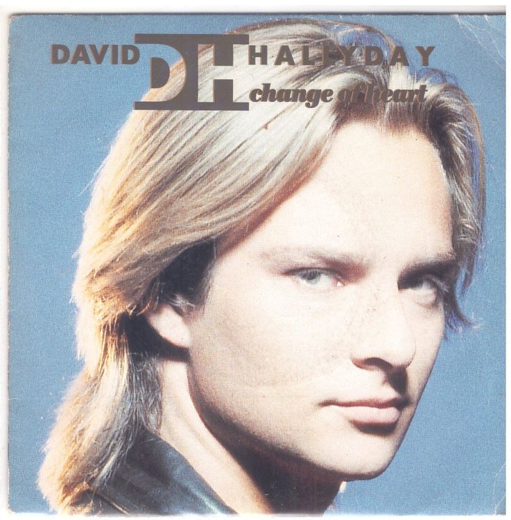 DAVID HALLYDAY (Gebraucht) in Bassersdorf für CHF 1 – mit Lieferung auf Ricardo kaufen