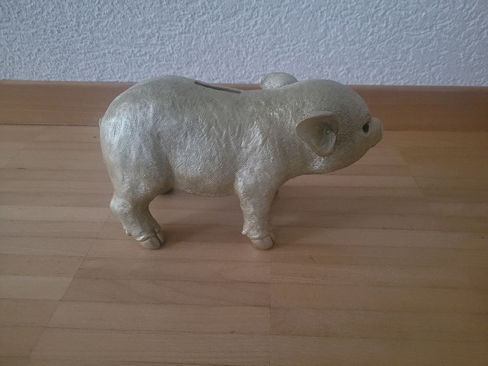 Süsses grosses Sparschwein Ferkel Spardose Schwein gold (Neu (gemäss ...