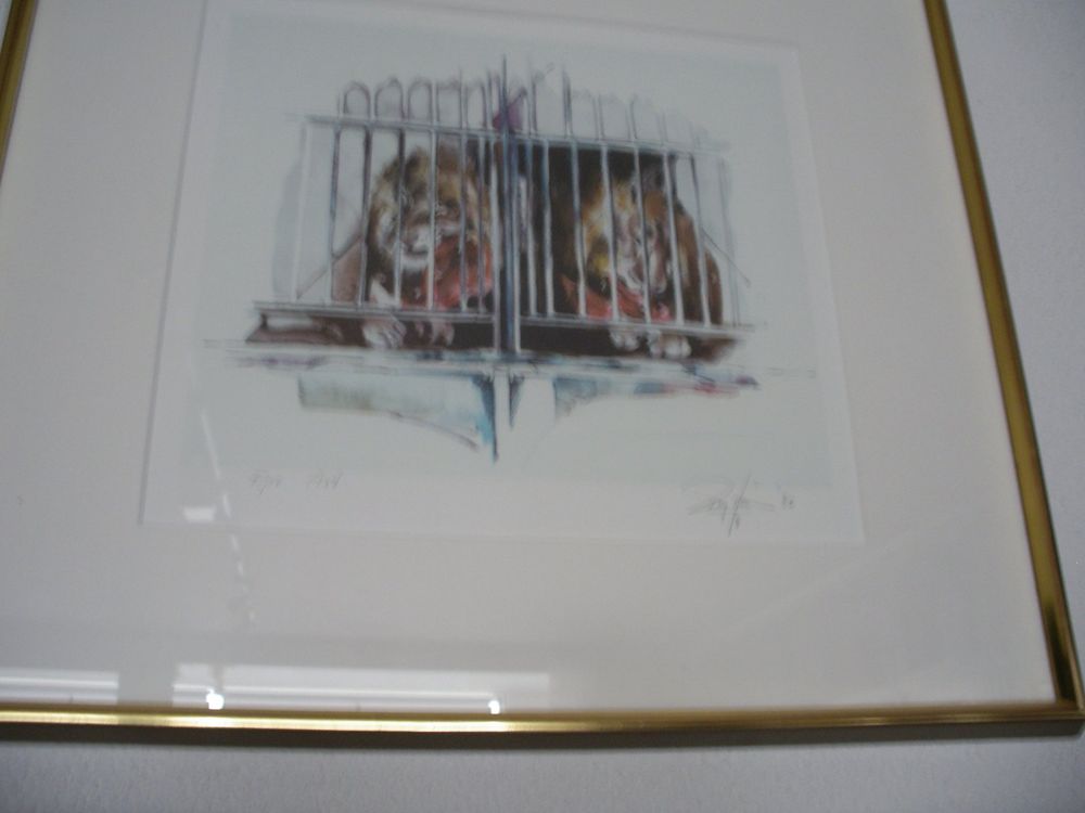 Rolf Knie | Kaufen auf Ricardo