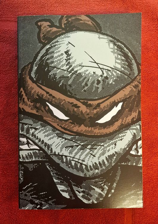Teenage Mutant Ninja Turtles Collected Book Volume One (Gebraucht) in ...