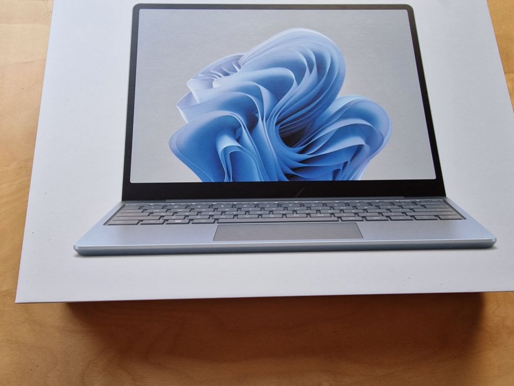 Surface Laptop Go2, Garantie, Win11 Pro (I5/16GB/256GB) | Kaufen auf ...
