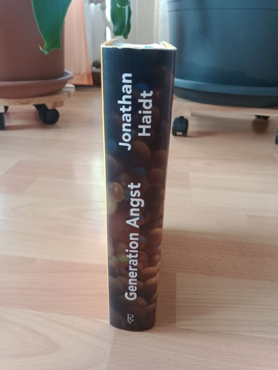 Jonathan Haidt Generation Angst The Anxious Generation 2024 (Neu ...