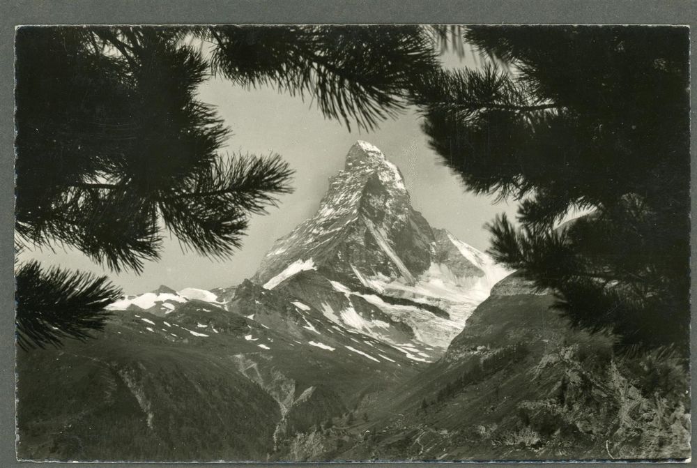 AK sw Zermatt. Das Matterhorn ≈ 1950 (Gebraucht) in Basel für CHF 2 – mit Lieferung auf Ricardo ...