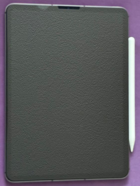 Apple iPad Pro 11-inch (3th gen.)/Wi-Fi+Cell 256GB/2021 M1sg (Gebraucht ...