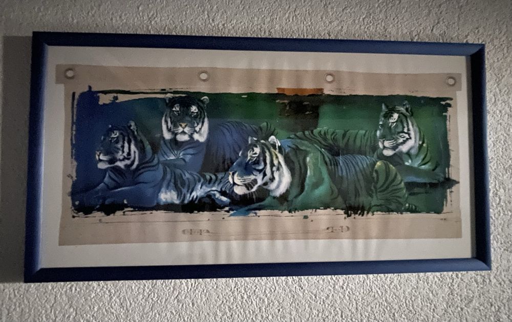 Tiger Bild Rolf Knie gerahmt (Gebraucht) in Dübendorf für CHF 20 – nur Abholung auf Ricardo kaufen