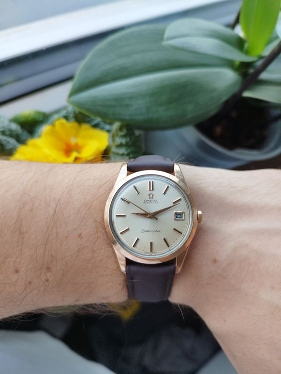 Omega seamaster 166.010 (Gebraucht) in Eglisau für CHF 700 – mit ...