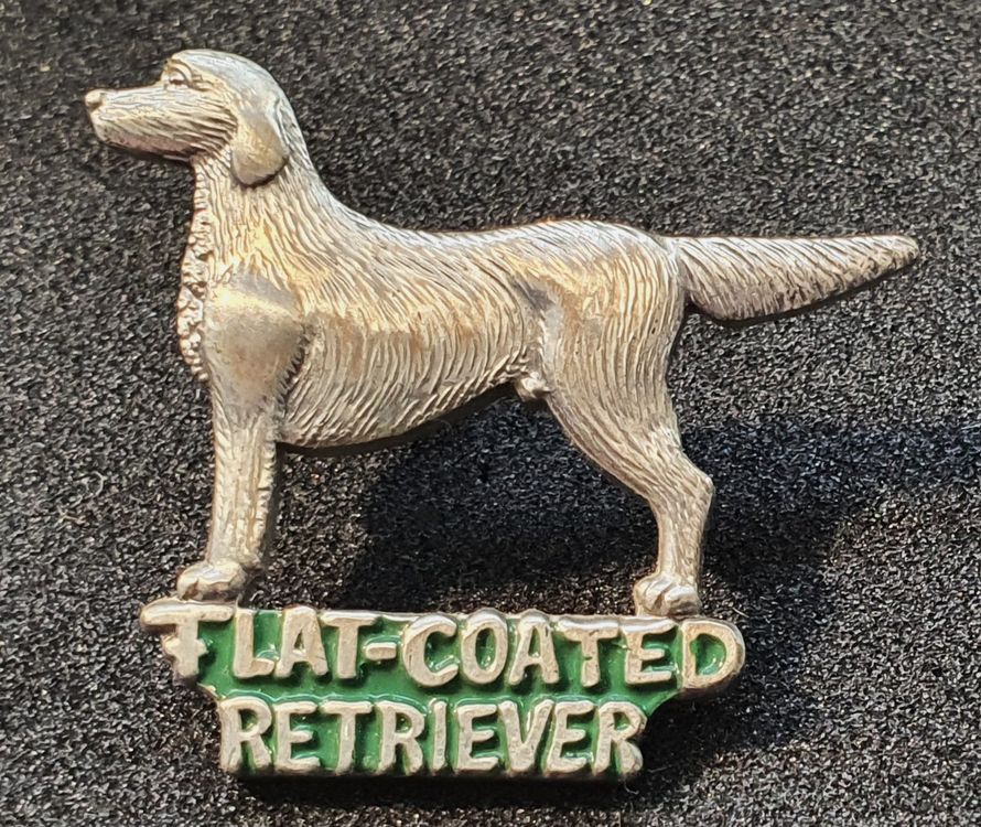 T700 - Pin Hund Flat-Coated Retriever (Gebraucht) in Reinach BL für CHF 2 – mit Lieferung auf ...