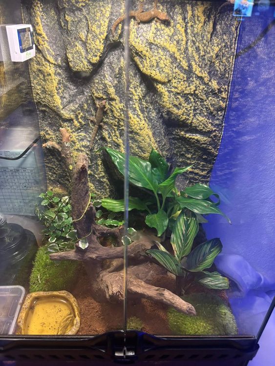 Exo Terrarium Mini 30x30x45 (Gebraucht) in Arbon für CHF 60 – nur ...
