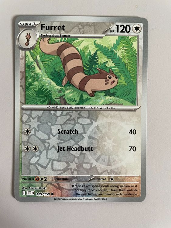 Pokemon Furret Reverse (Versand gratis) (Neu (gemäss Beschreibung)) in ...
