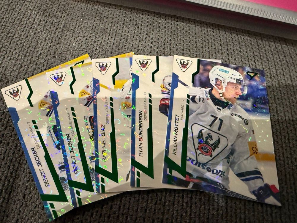 Green Basic Bundle - HCFG Fribourg Gotteron - Sportzoo | Kaufen auf Ricardo