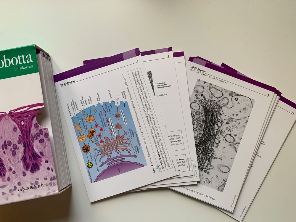 Sobotta Lernkarten Histologie (Gebraucht) in Staufen für CHF 10 – mit ...