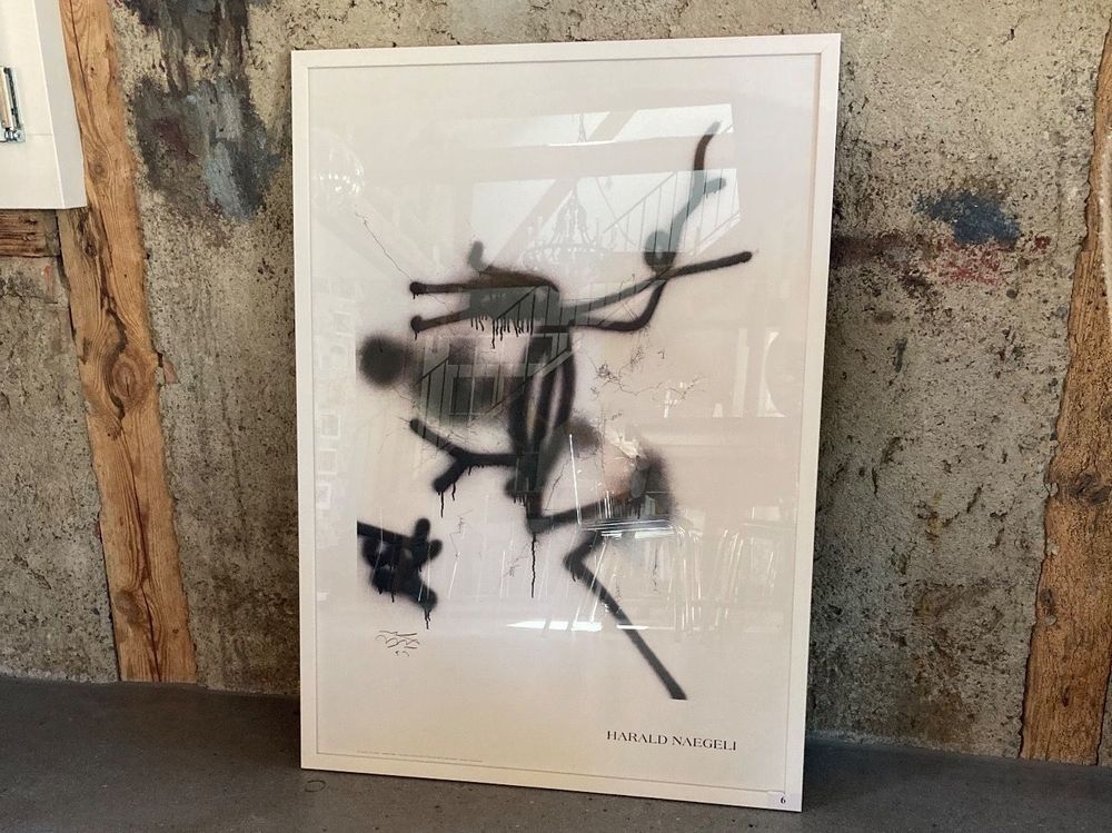 Harald Naegeli (Gebraucht) in Kölliken für CHF 90 – mit Lieferung auf ...