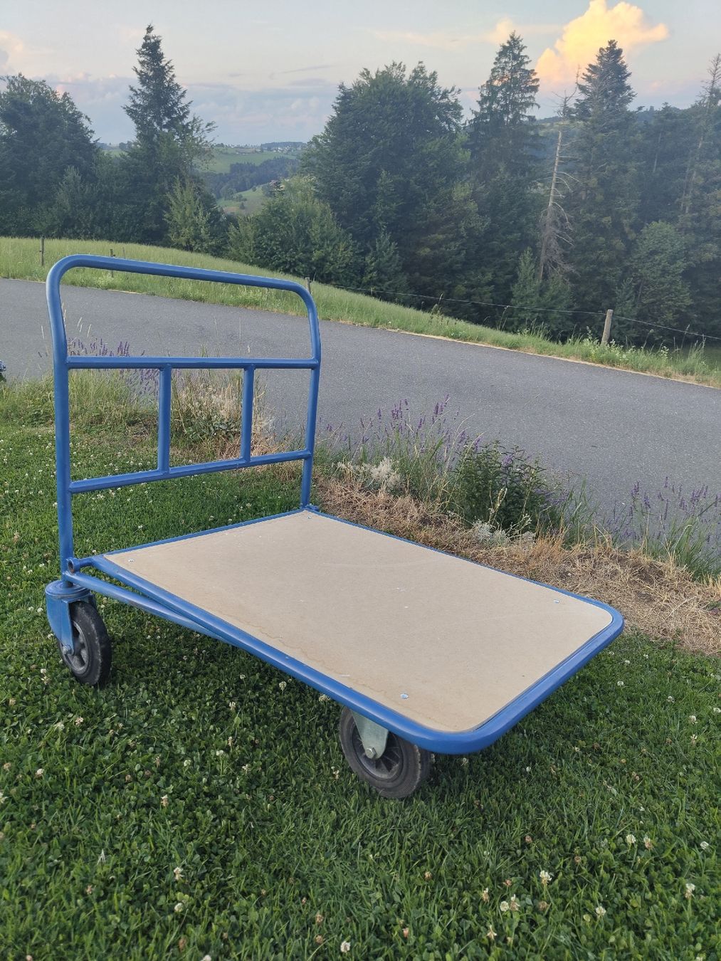 Handwagen / Transportwagen (Gebraucht) in Werthenstein für CHF 21 – nur ...