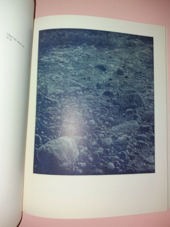 FRANZ Gertsch Holzschnitt | Kaufen auf Ricardo