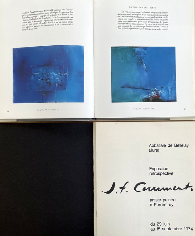 Jean-François Comment - Livre et catalogue expo Bellelay (Gebraucht) in ...