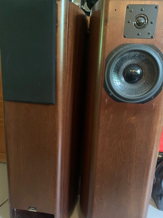 Ecouton Audiolabor - LQL-200 - Transmissionline - High End (Gebraucht ...