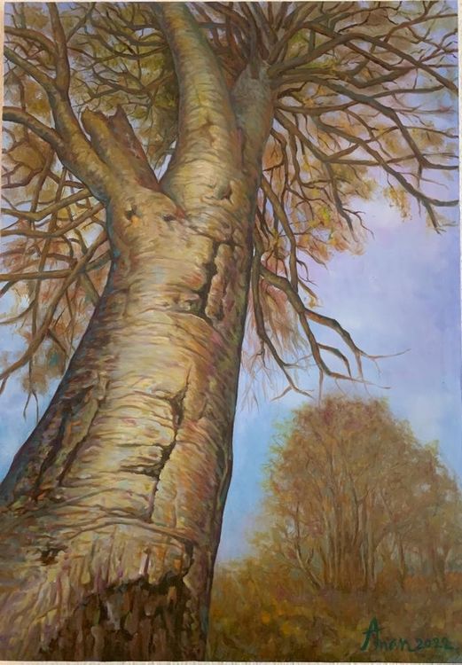 Baum im Herbst, Öl auf Leinwand, 70x100cm (Neu (gemäss Beschreibung)) in Belp für CHF 890 – mit ...