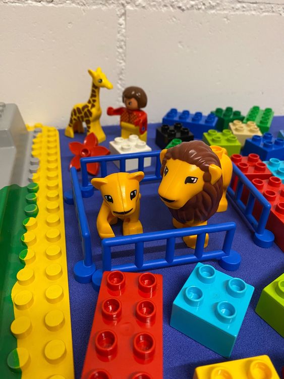 Grosser Lego Duplo Zoo mit 3D Platte & über 100 Teile! | Kaufen auf Ricardo