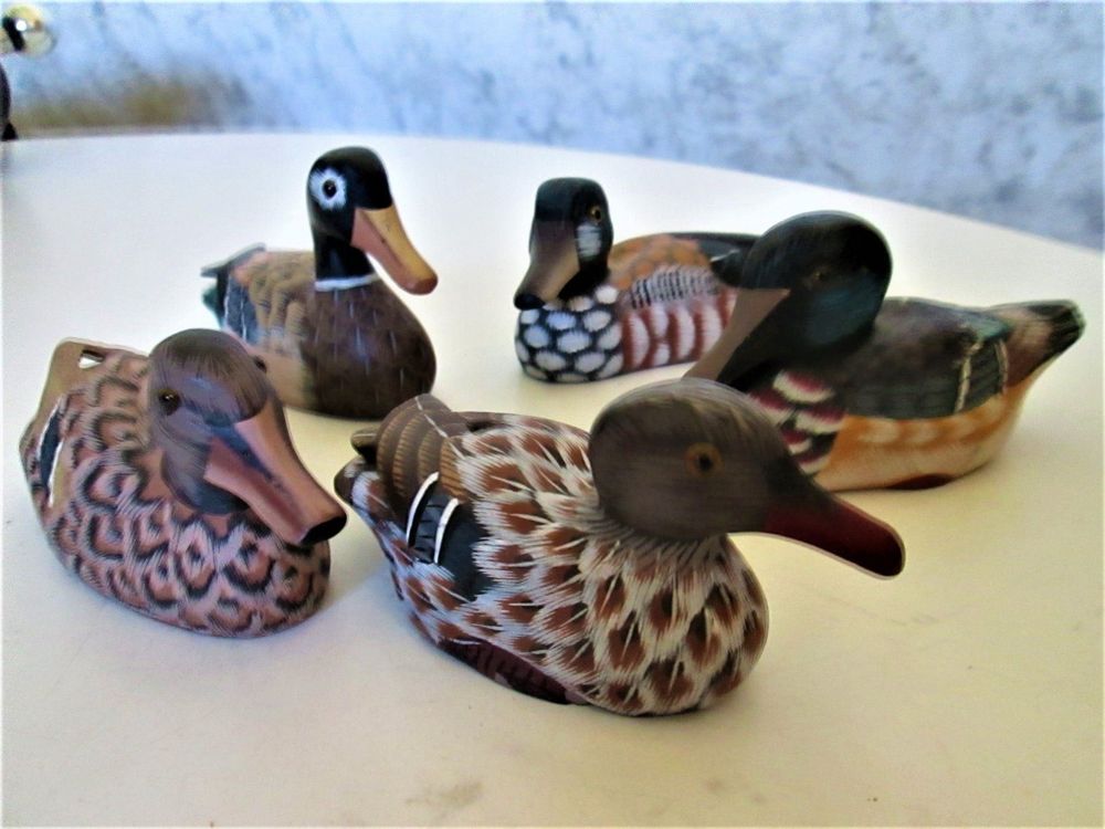5 hölzerne Enten Licht gemalt | Acheter sur Ricardo