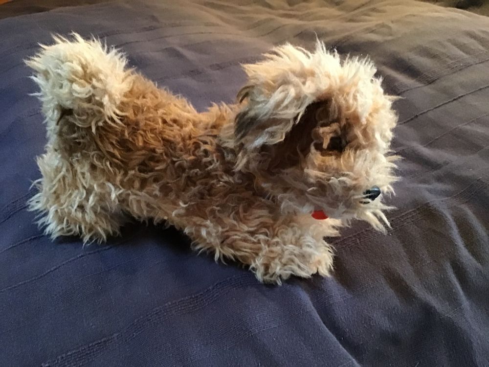 Plüschtier Hund, Hermann-Teddy-Original (Neu (gemäss Beschreibung)) in ...