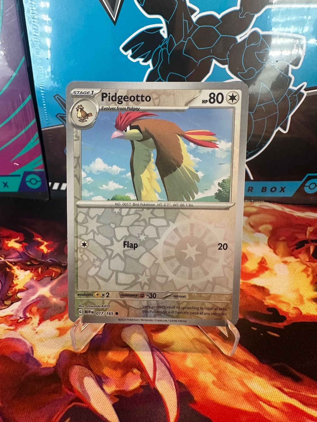 Pidgeotto [Reverse Holo] #17 MEW 151 NM / 🇬🇧 (Gebraucht) in Recherswil ...