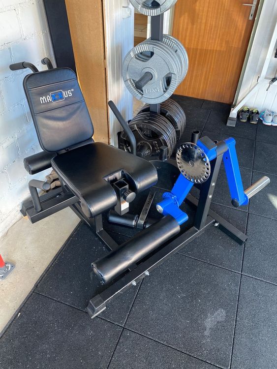 Maxxus Multi Pro | Kaufen auf Ricardo