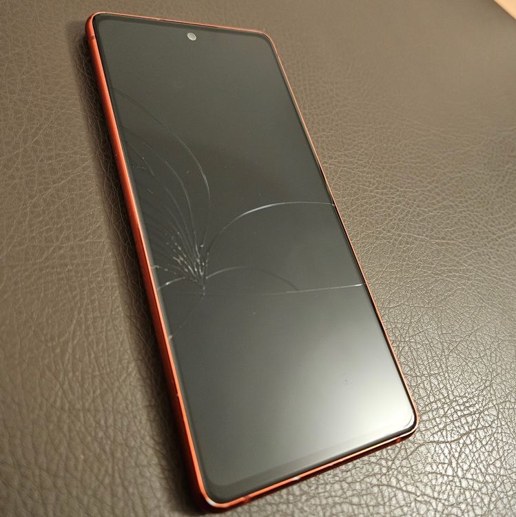 Samsung Galaxy S20 FE 5G Dual SIM (6/128GB, rot) (Gebraucht) in St. Gallen für CHF 79 – mit ...