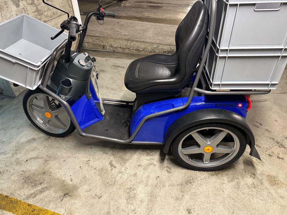 KYBURZ DXP 200AH KOMPLETTE MIT PAH ANHÄNGER ZUM VERKAUFEN (Gebraucht ...