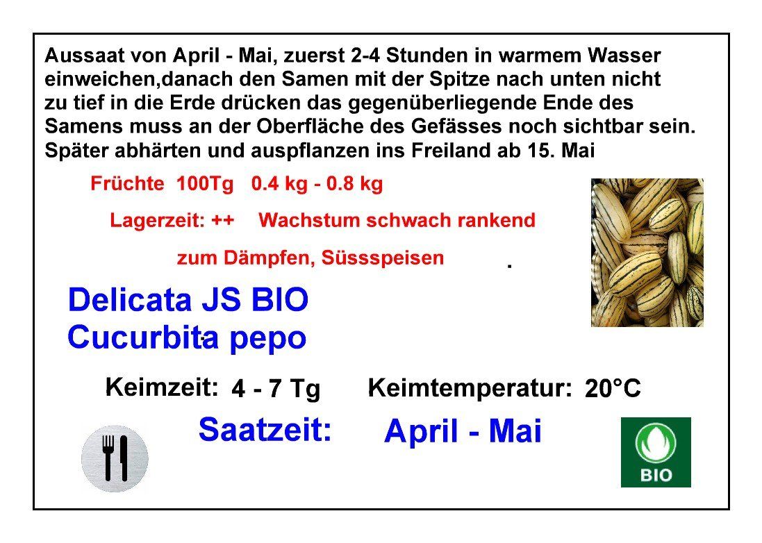 Kürbis Delicata JS Bio - Cucurbita pepo - 25 Samen (Neu und ...