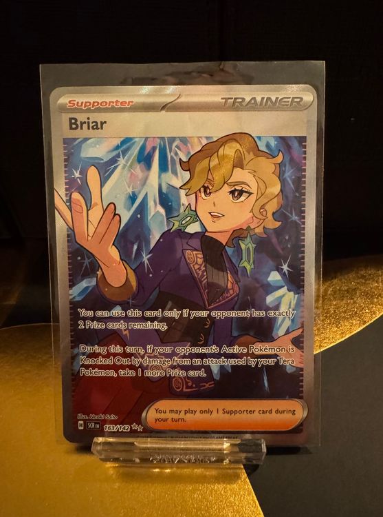 Briar 163/142 Pokemon (Neu (gemäss Beschreibung)) in Pfäffikon ZH für ...