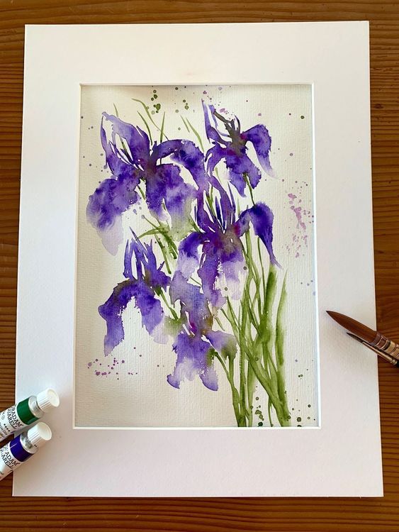 Iris | Kaufen auf Ricardo