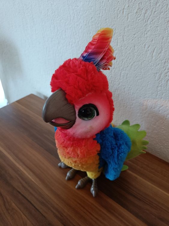 Imagedetailfurreal Papagei Gebraucht Kaufen Nur 4 St Bis 70 Gunstiger 2022 09 01990946