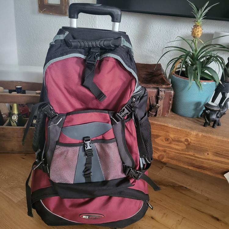 Trolleyrucksack Trolley 2 in 1 rollender Rucksack | Kaufen auf Ricardo