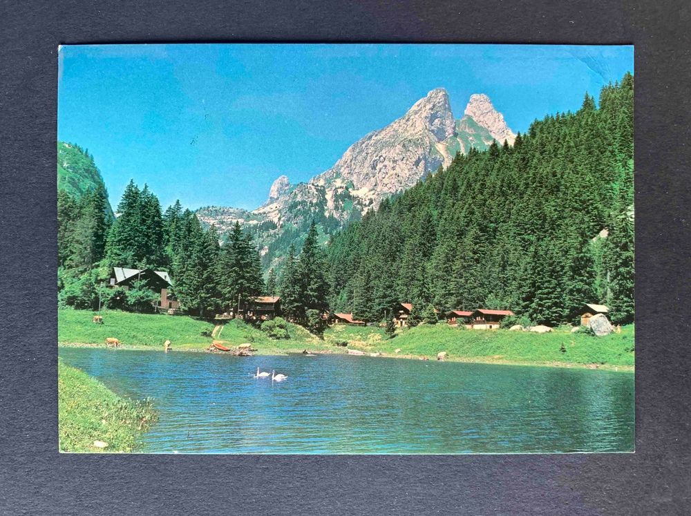 AK Tanay Miex VS | Kaufen auf Ricardo