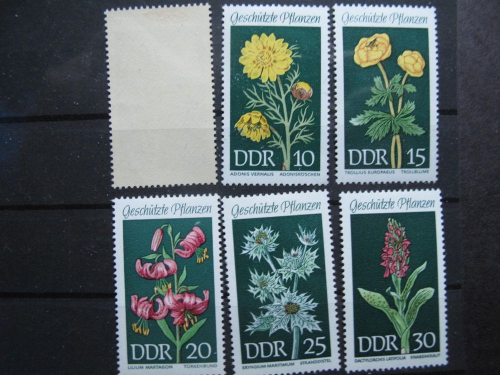 DDR 1969 Geschützte Pflanzen * (Gebraucht) in Wil SG für CHF 1 – mit Lieferung auf Ricardo kaufen
