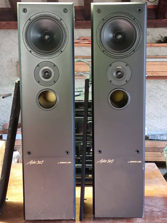 Hauts parleurs AVANCE (Gebraucht) in Avully für CHF 50 – nur Abholung ...