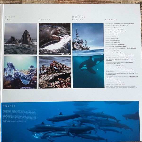 DLP BLUE PLANET ll - HANS ZIMMER - COLORED VINYL - LIMITIERT (Neu ...
