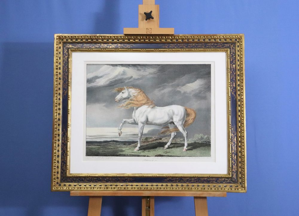 James Ward 1769-1859, Adonis, from: Celebrated Horses (1824) | Kaufen ...