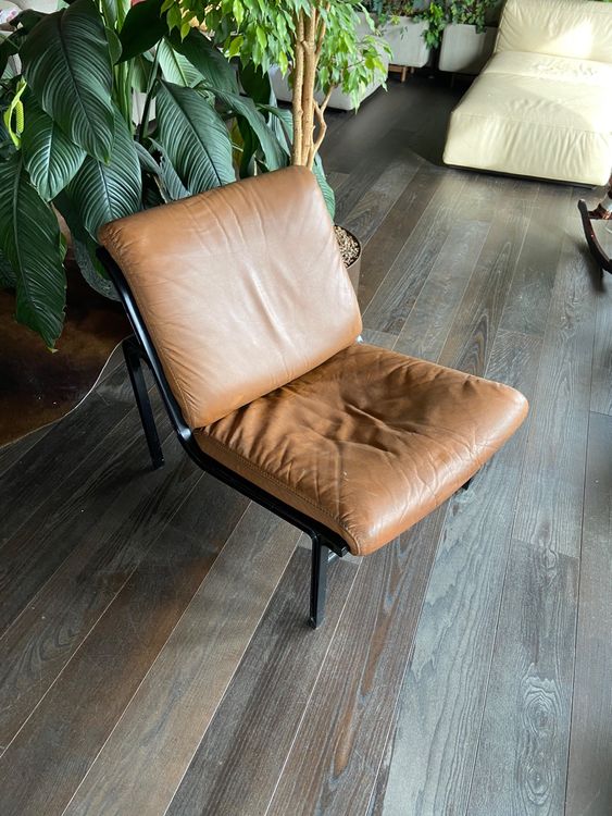 Vintage Strässle Collection Sessel mit rehbraunem Leder | Kaufen auf ...