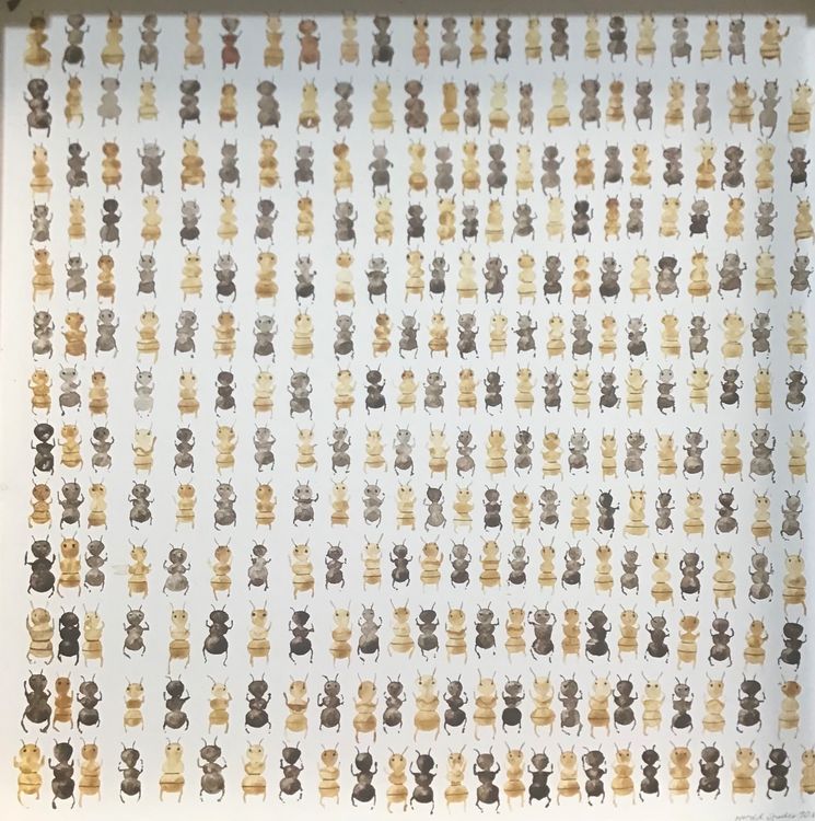 Harold STUDER (1942-2000) Mischtecknik | Kaufen auf Ricardo