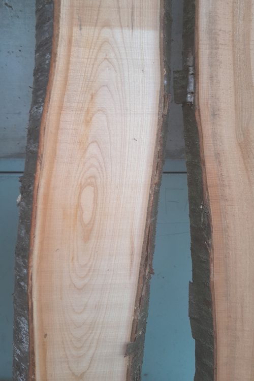 Kirsch Baum Bretter | Kaufen auf Ricardo