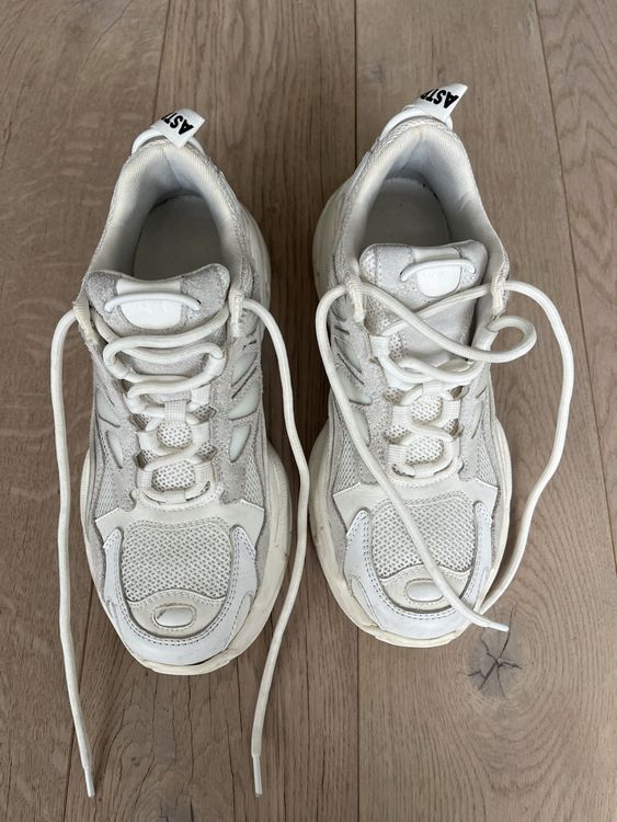 Basket Sandro Astro (Gebraucht) in Lully VD für CHF 20 – mit Lieferung ...