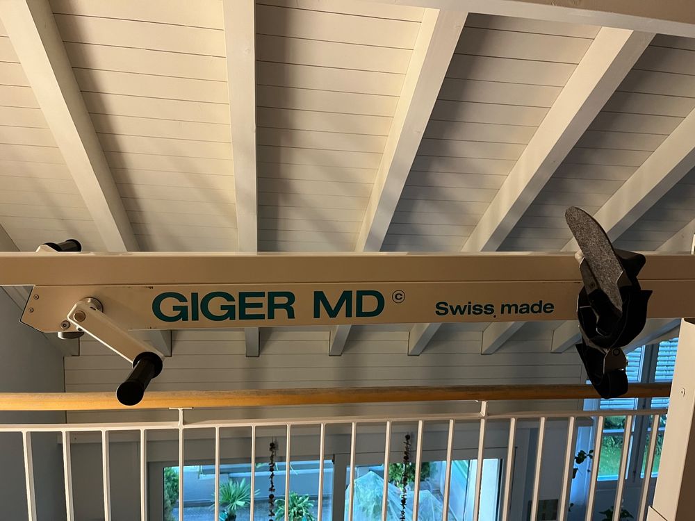 Fitness - Giger MD - Koordinations-Dynamikgerät (Gebraucht) in für CHF ...