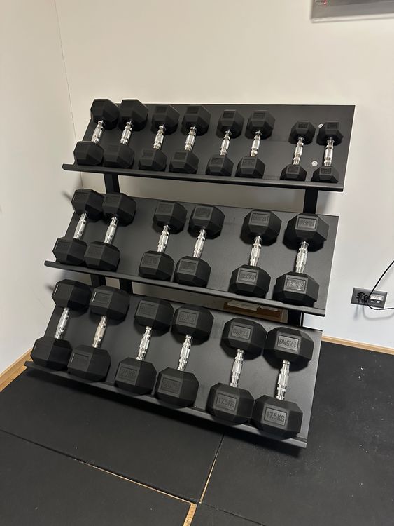 Fitcom Hex Hantelsatz inkl. Rack (Gebraucht) in Illighausen für CHF 510 ...
