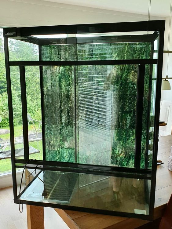 Terrarium mit viel Zubehör | Kaufen auf Ricardo Terrarium mit viel Zubehör | Kaufen auf Ricardo